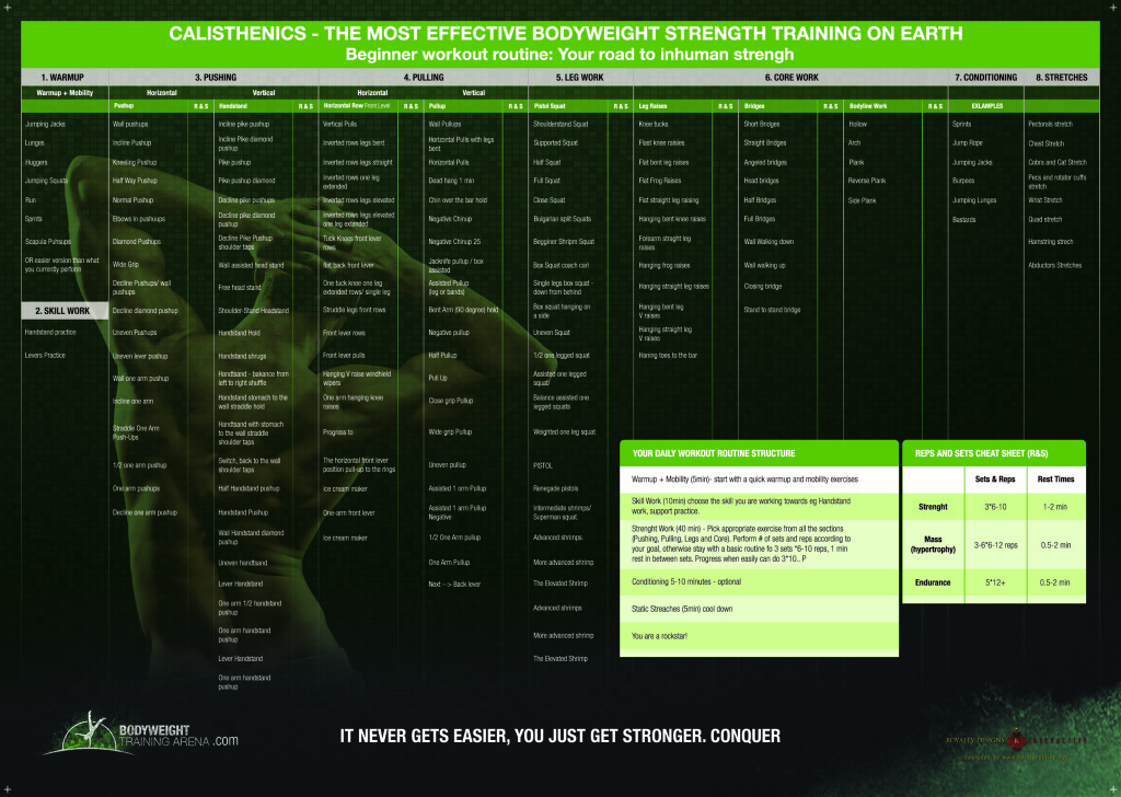 Calisthenics Fundamentals Book | Calisthenics Academy